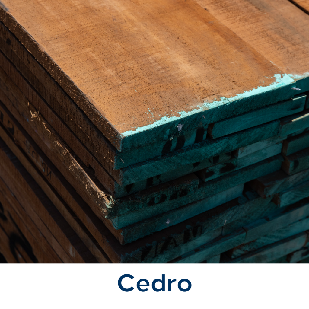 Cedro - Grupo Madeira