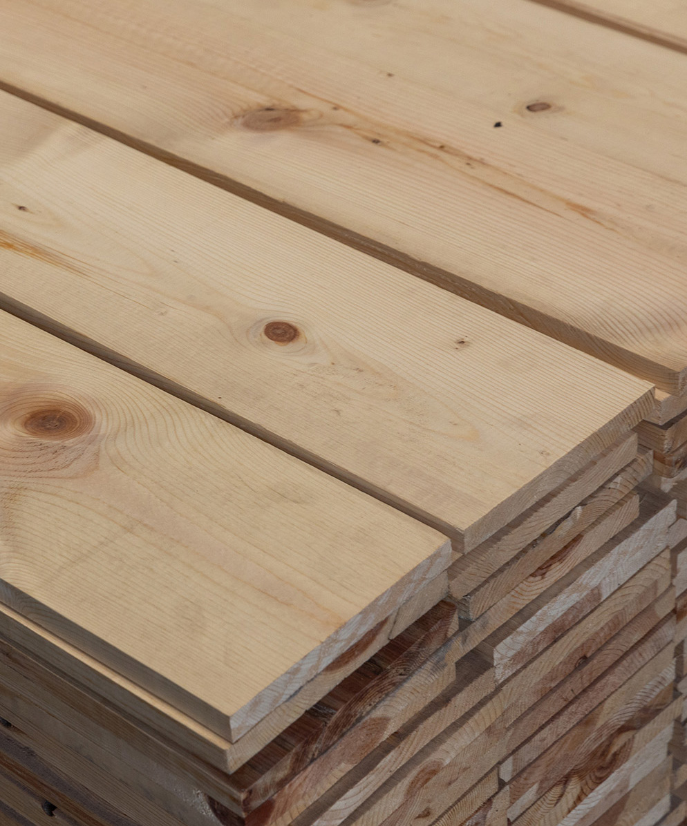 Pino Radiata - Grupo Madeira