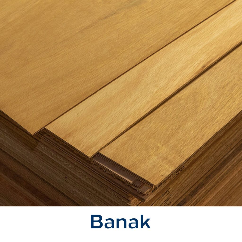 Banak - Grupo Madeira